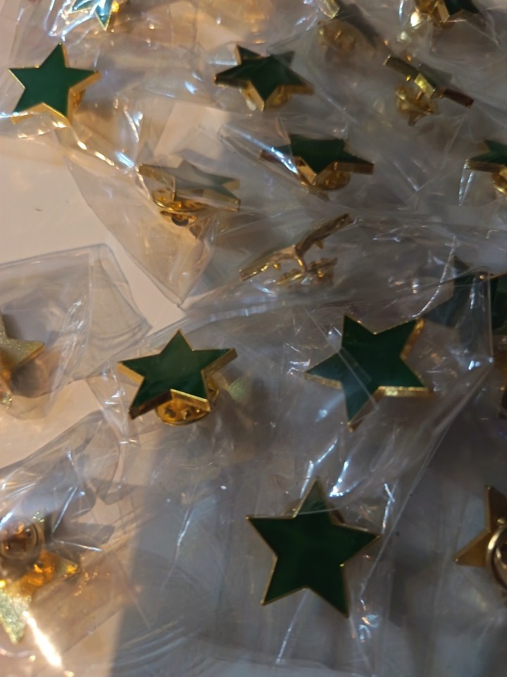 24 Pc Lot Gold Star Color Green Lapel Pin 1/2" Wide Teacher Pin Back ...