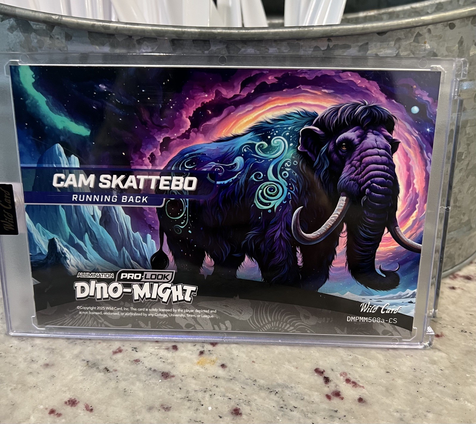 2025 Wild Card Cam Skattebo 1/1 Painted Mammoth Rare