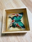 Hand Painting Resin Fish Art, Under The Water. 3D Art, Size: 4” X 2” | eBay