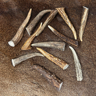 10 Pack - Med. Deer Antler Gnarly Tips * Grade A * Brow Tine Pendants ...