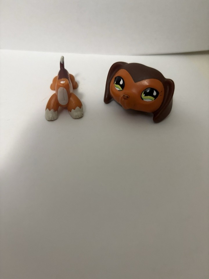 Hasbro LPS Littlest Pet Shop Savvy Daschund #675 authentic, peg is ...
