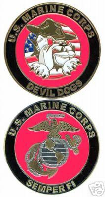 MARINE CORPS DEVIL DOG DRILL INSTRUCTOR CHALLENGE COIN | eBay