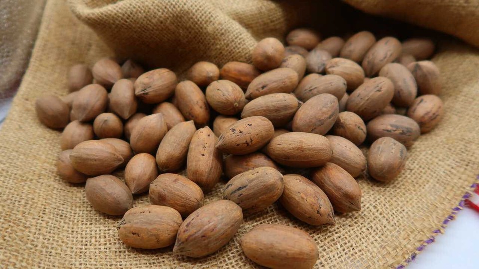 Whole Paper Shell Pecans by the pound | eBay