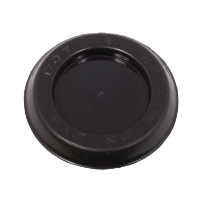 Body-Plug-7/8",-Plastic-Body-Sealing-Plug---7/8"-Diameter | eBay
