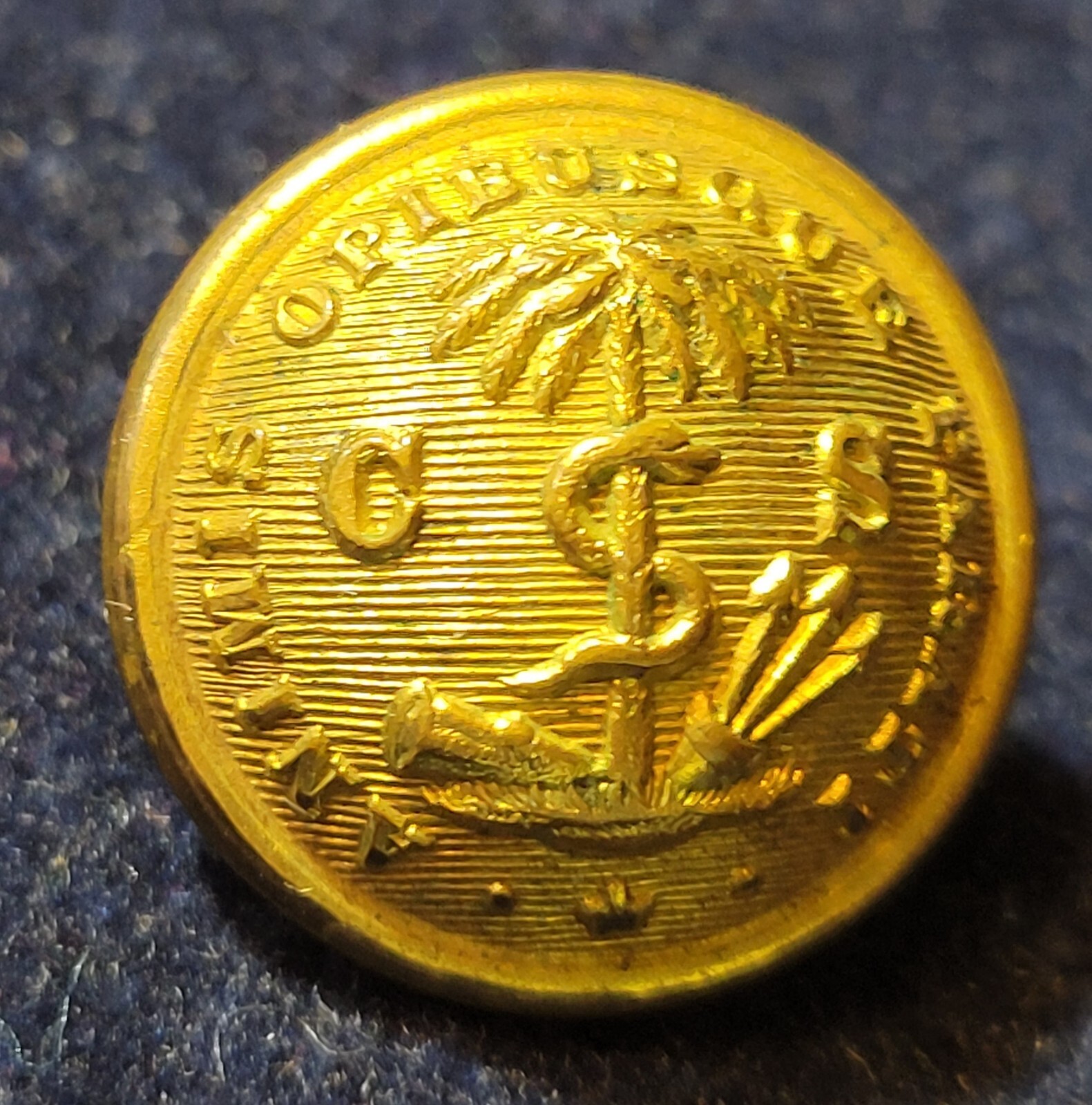 CIVIL WAR ERA CONFEDERATE SOUTH CAROLINA PALMETTO GUARD BUTTON ALBERT ...