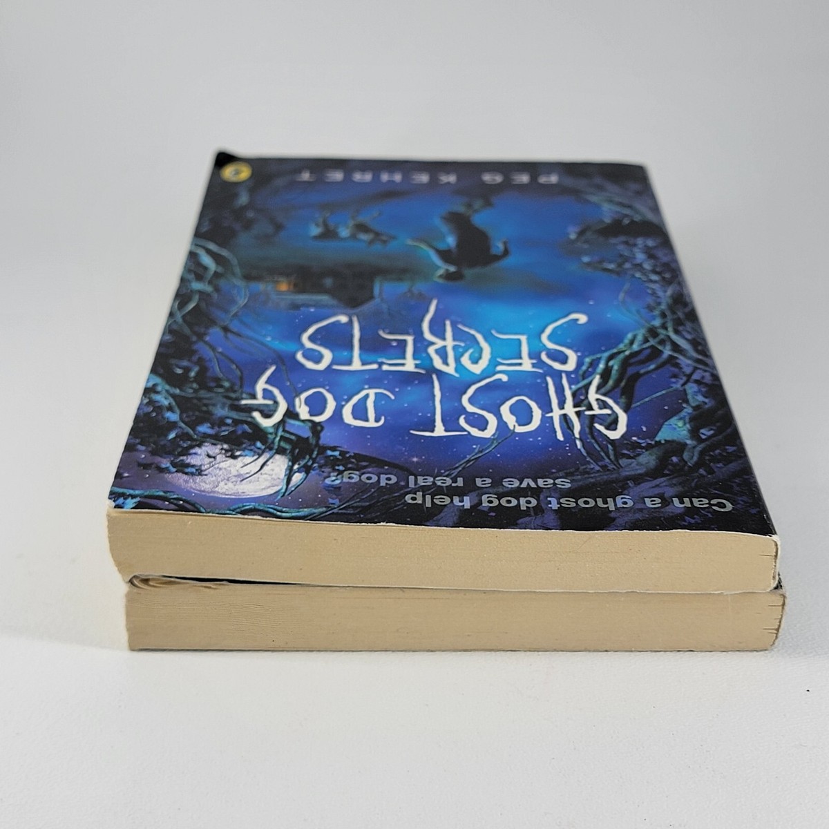 Ghost Dog Secrets Cover GHOST DOGS! Harry Potter And The Chamber Of