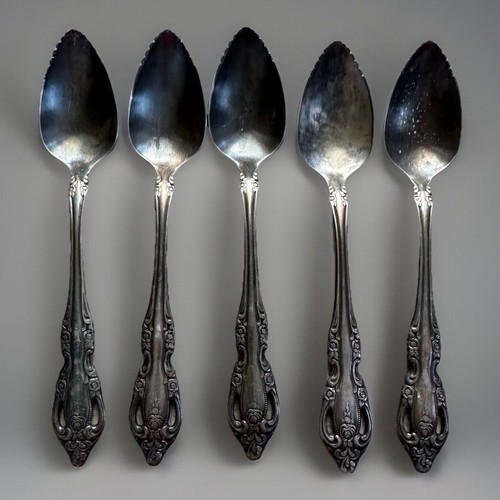 Oneida Community BRAHMS Fruit / Grapefruit Spoons Stainless Set of 5 | eBay