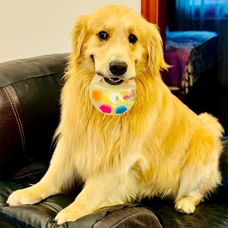 The Mellow Dog Calming Ball,Interactive Toss and FetchPlay,Squeaky ...