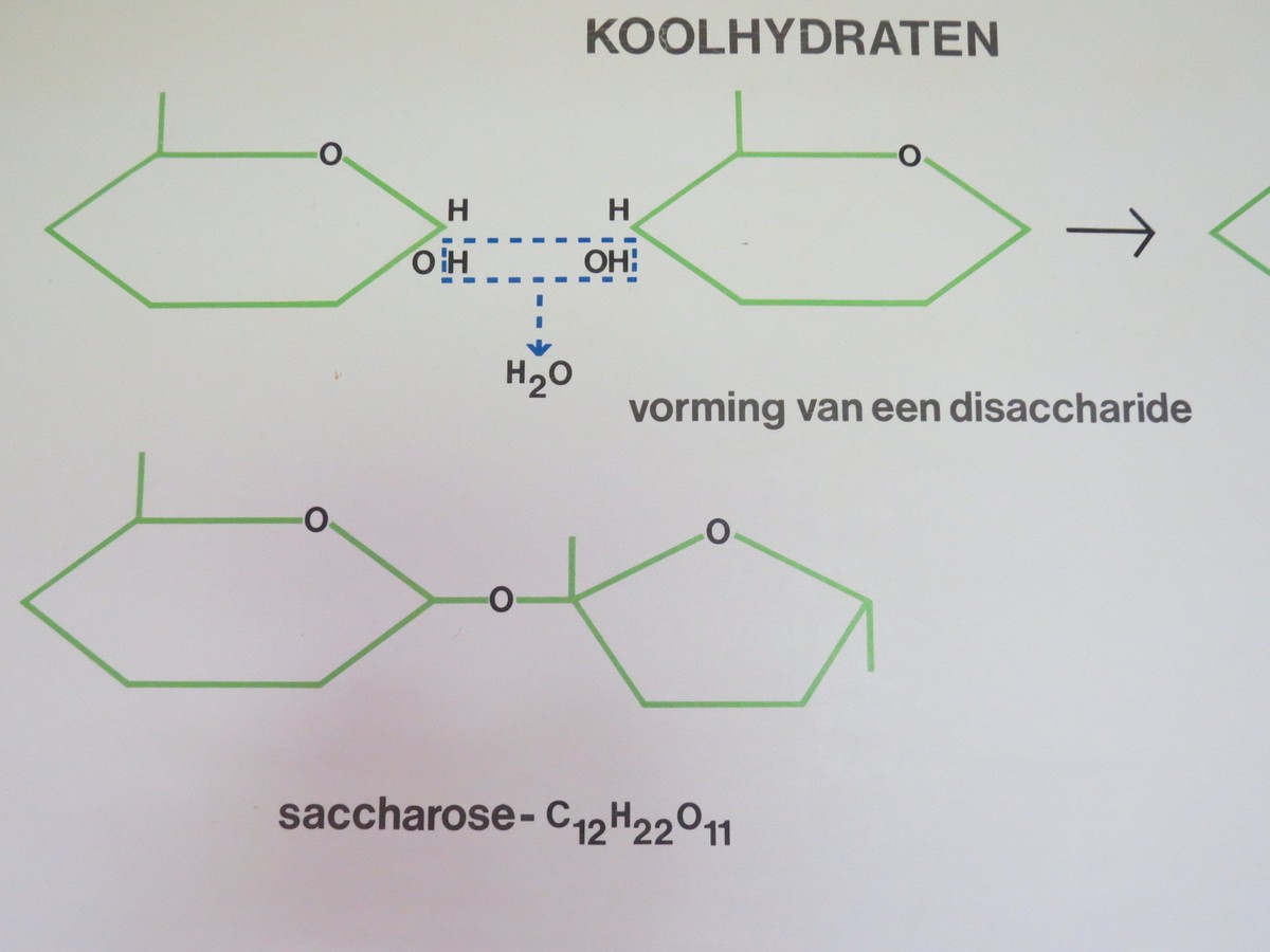 Koolhydraatdiagram