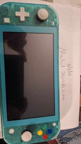 Custom EXtremeRate NINTENDO SWITCH LITE | eBay