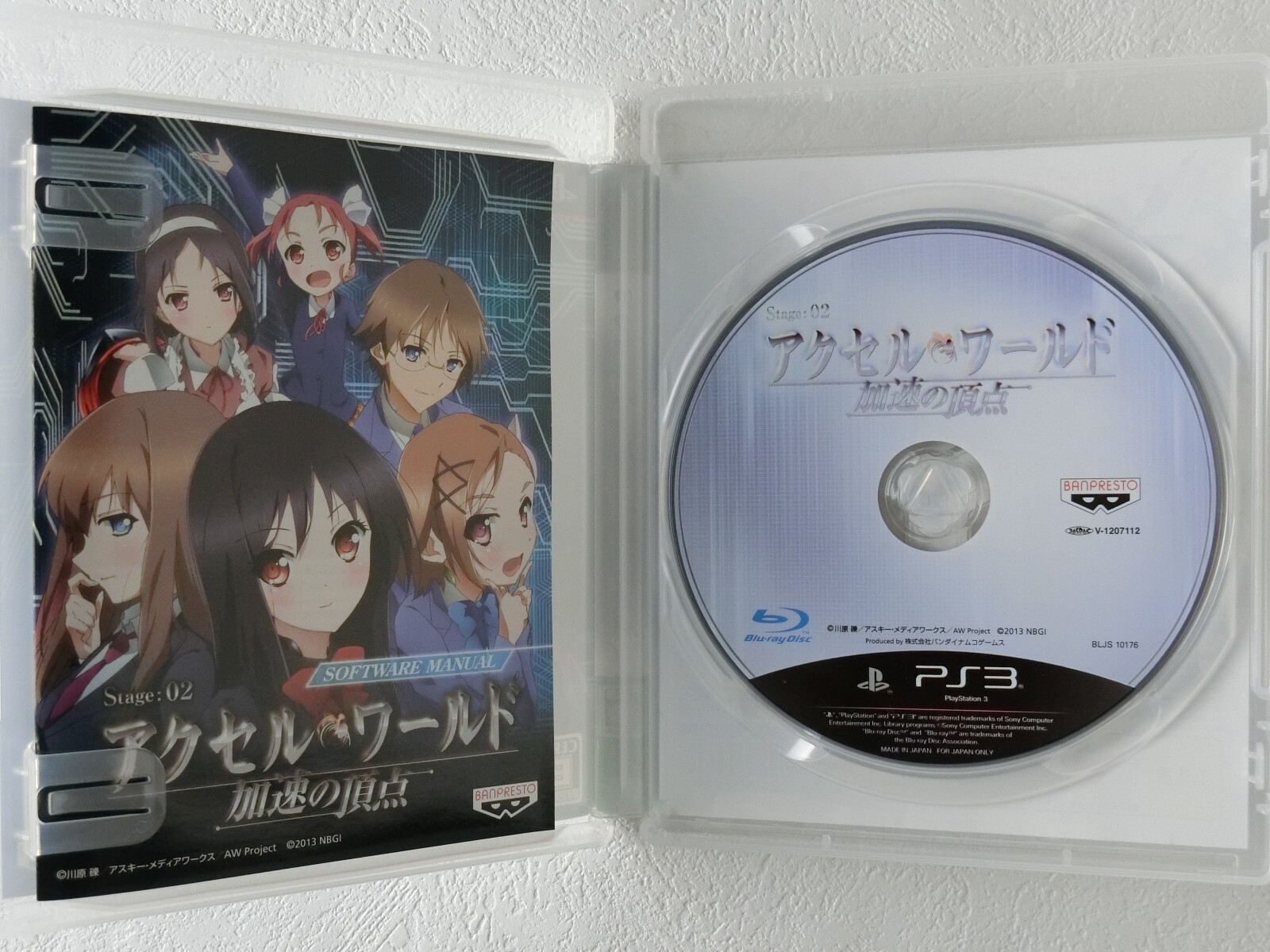 Accel World Kasoku no Chouten PS3 BANDAI NAMCO Sony Playstation 3 From ...