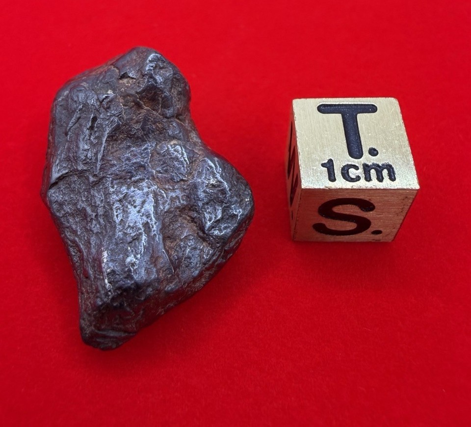 Canyon Diablo Meteorite Slice, Authentic Meteorite, Arizona Meteorite ...