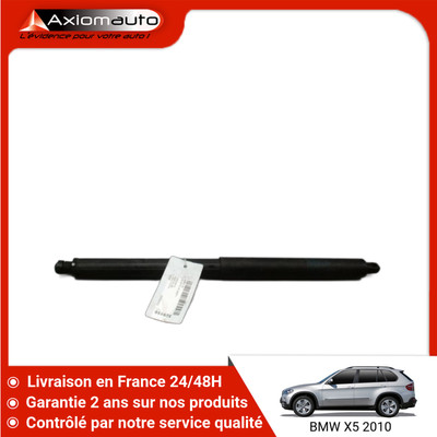 🇫🇷 VERIN GAUCHE HAYON BMW X5 (E70) 2007- 51247294199 ♻️ | eBay