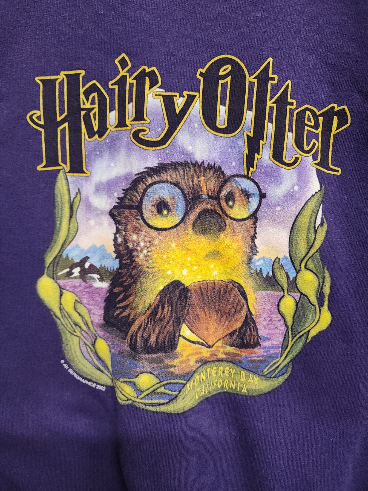 Vintage 2002 Hairy Otter Harry Potter Parody Crew Nec… - Gem