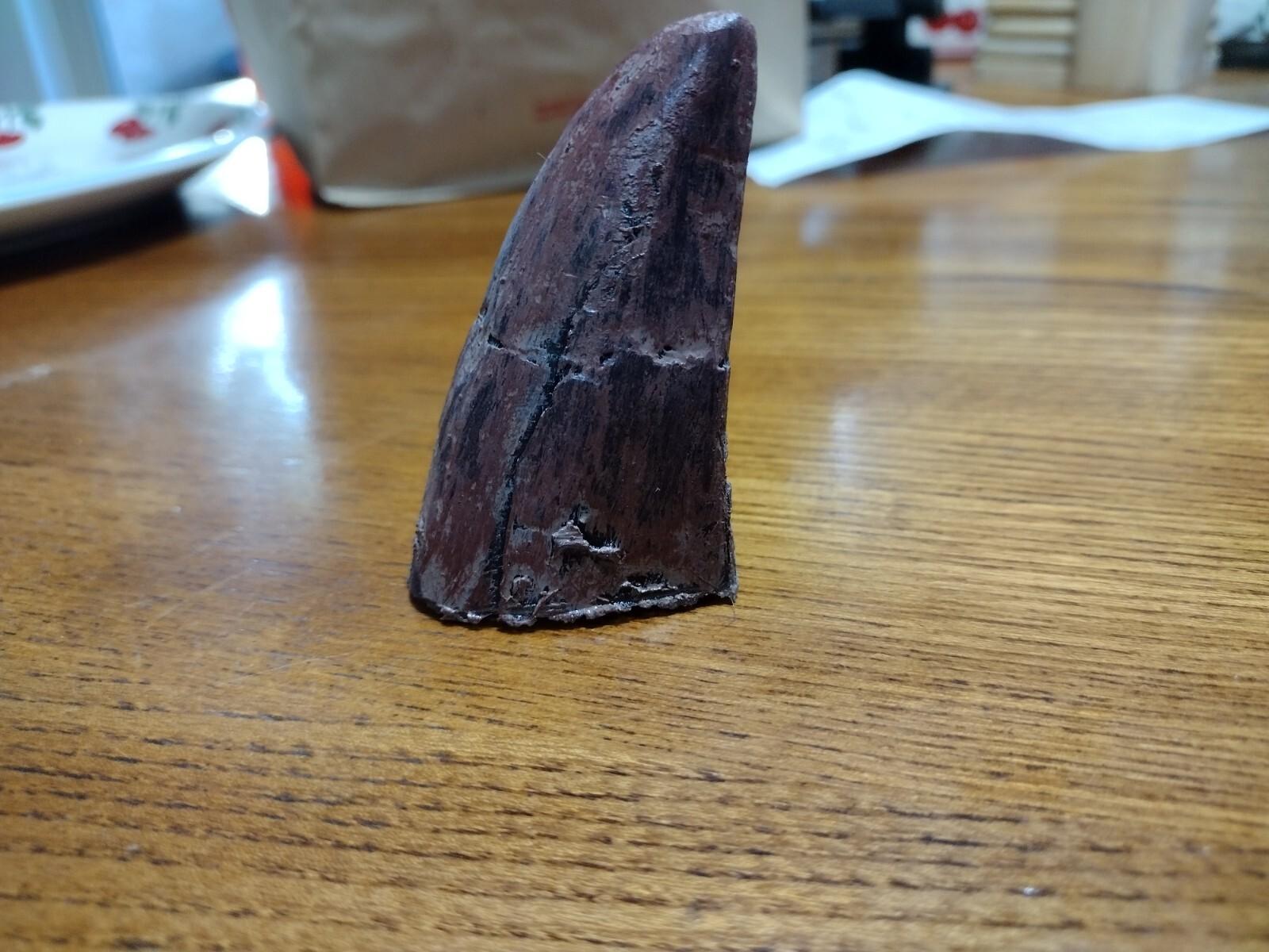 Tyrannosaurus rex tooth replica ( medium). Lance formation fossil. | eBay