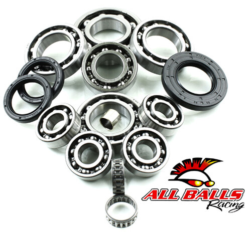 All Balls 25-2090 Rear Differential Bearing Kit for 2006-11 Polaris ...