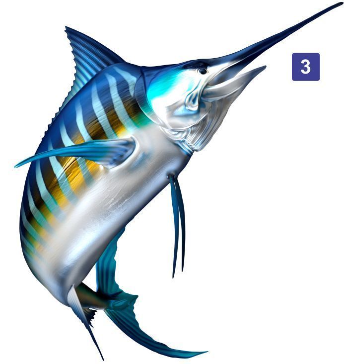 Blue Marlin Vinyl Sticker Fish Decals for Boat Car Vehicle Truck ...