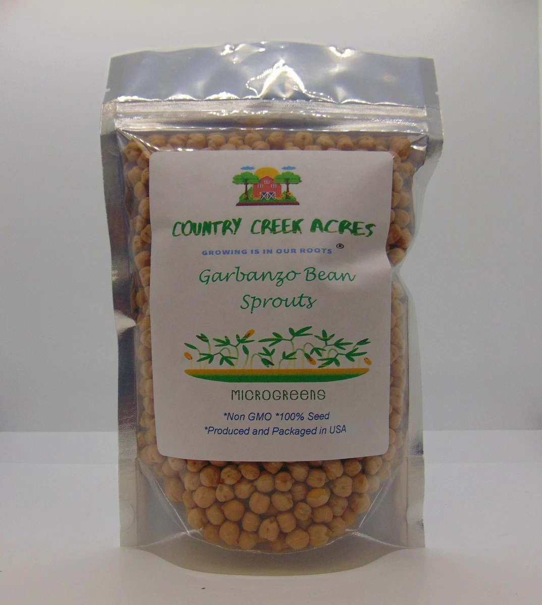 Garbanzo Bean Seeds