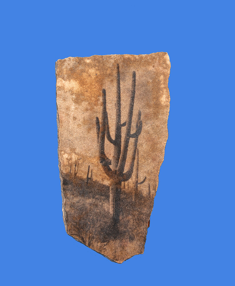 Vintage Kaibab Stone Photograph Limestone Unique! by Al Peyron | eBay