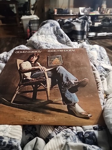 David Cassidy - Rock Me Baby, LP, (Vinyl) | eBay UK
