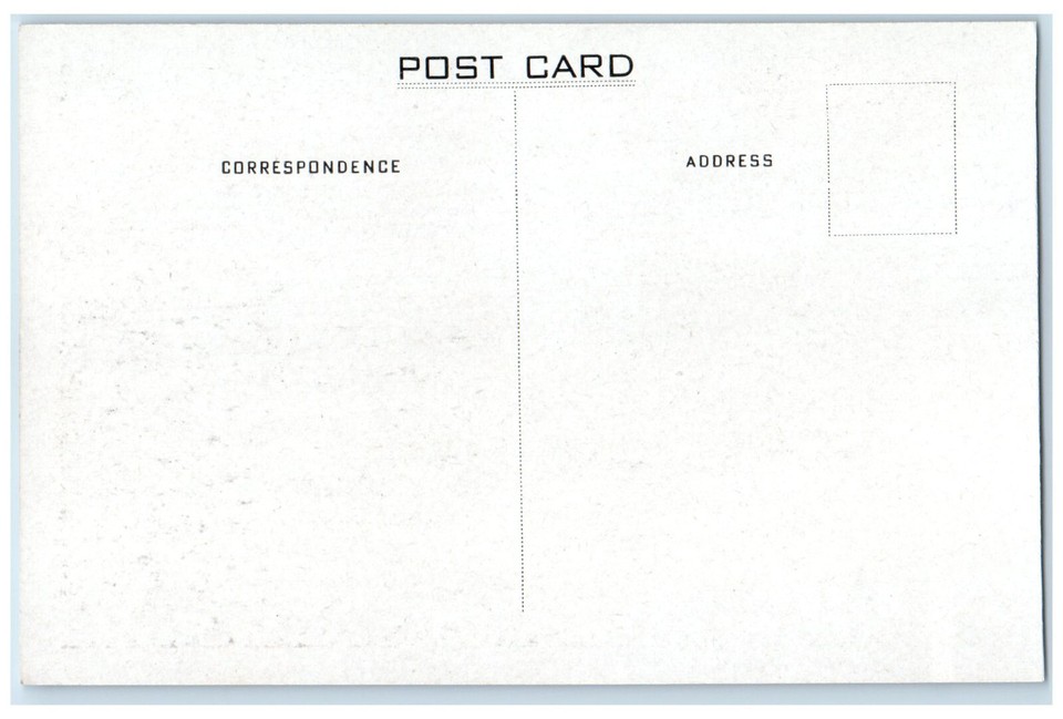c1940's Entrance Arc Government House Calcutta India Unposted Vintage ...