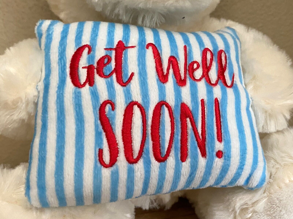"Get Well Soon" Plush Teddy Bear w/ Striped Pillow Stuffed Animal Gift ...