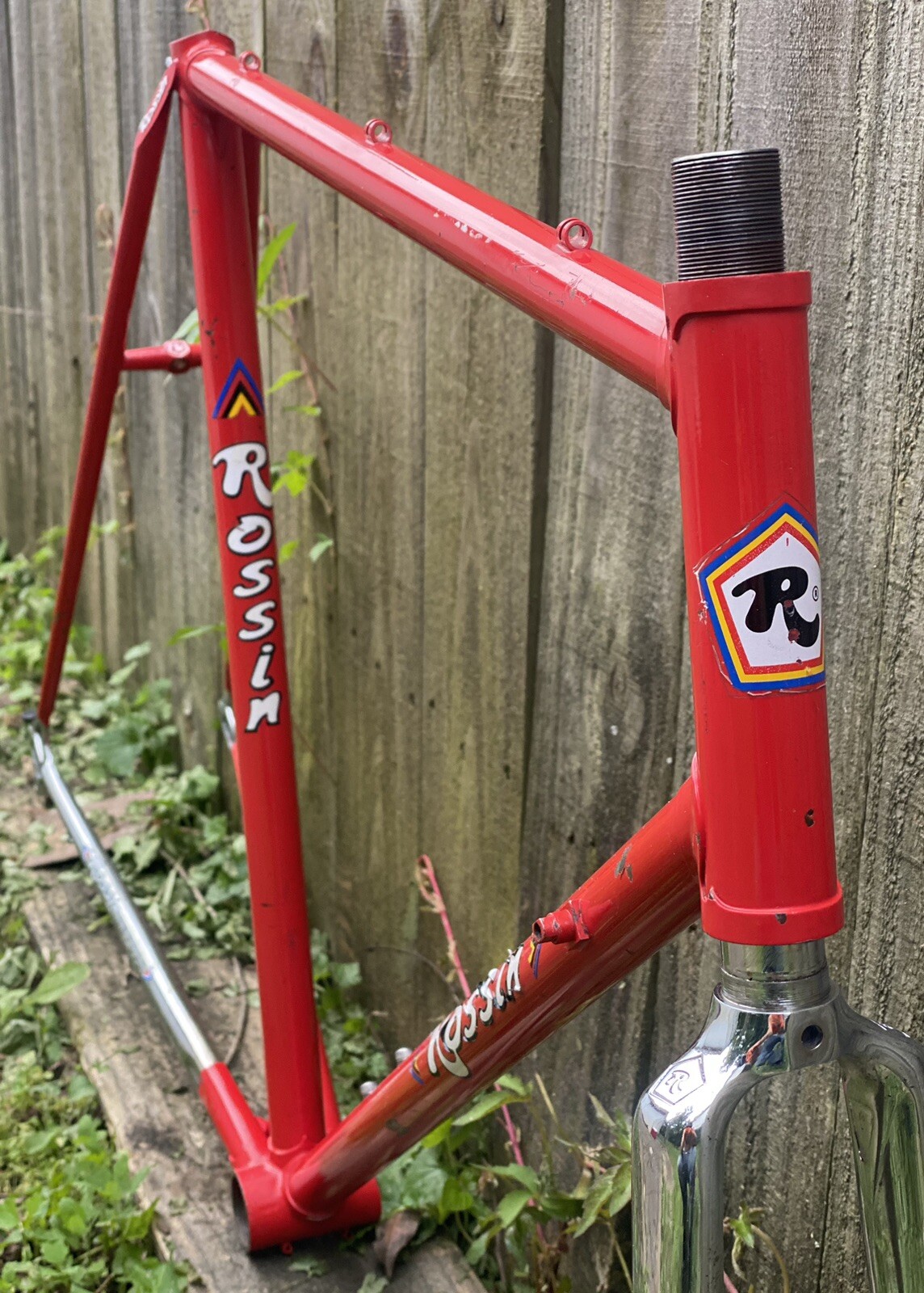 Vintage 1980’s Rossin Record Road Bike Frame Fork 57cm Campagnolo ...