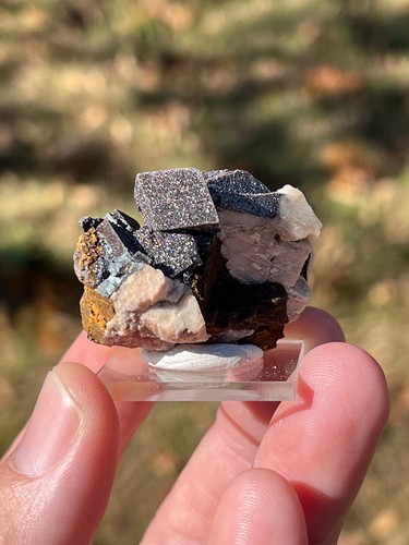 Microcline(Colorless Amazonite) and Hematite after Siderite Psudomorph ...