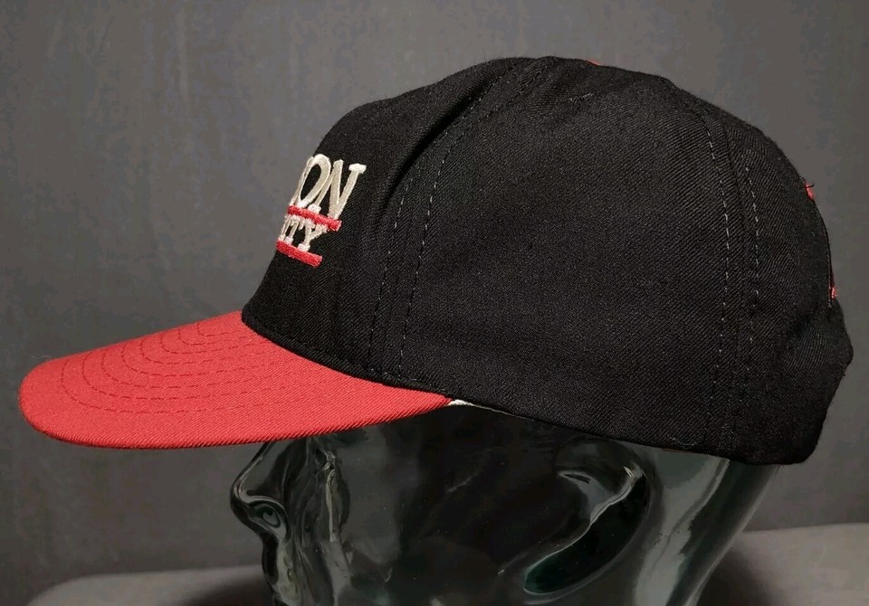Vtg Denison University “Big Red” Embroidered Snapback Hat University ...