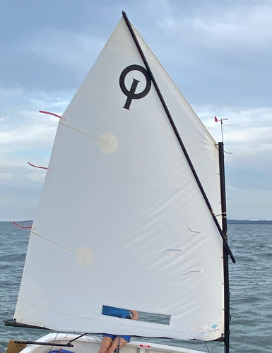 Optimist Opti Sail - Racing Sail, Class Legal | eBay
