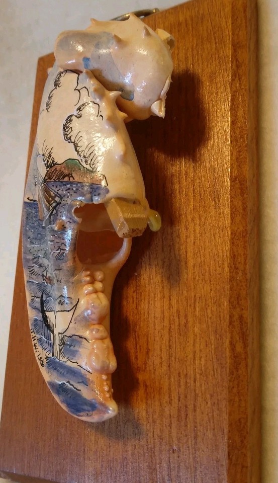 Painted partial Lobster Claw - J. H. Wilson - Julia Homer Wilson ...