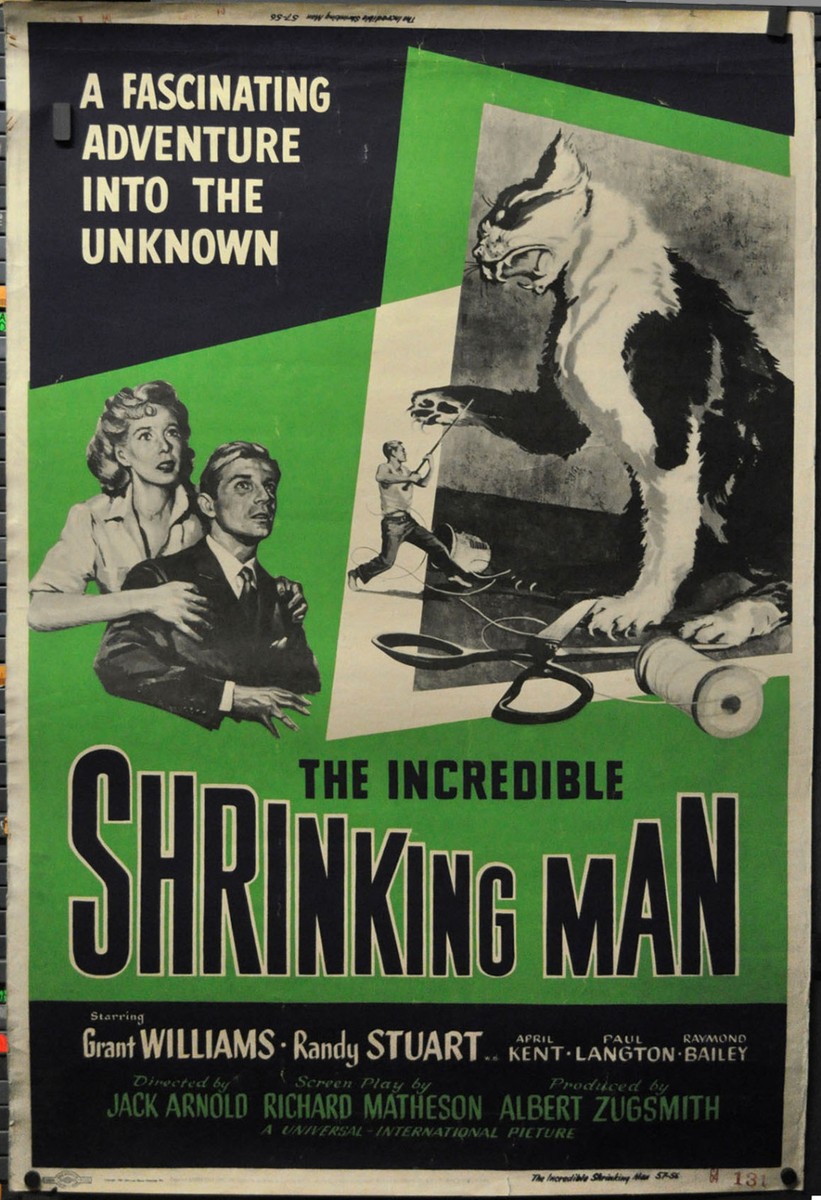 Incredible Shrinking Man