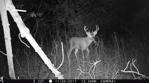 Moultrie Mobile Wireless Field Modem MV1 (MCA-13033) for sale online | eBay