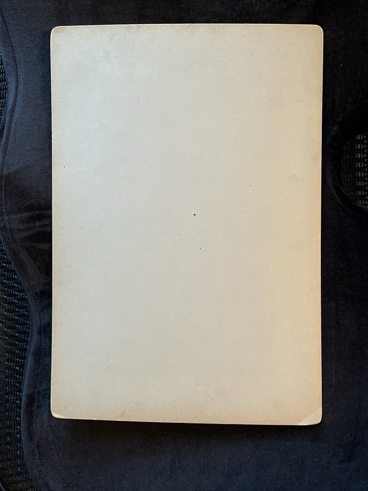 1896 Charles Derby Stallion THOROUGHBRED RACING HORSE PHOTO Taylor Cook ...