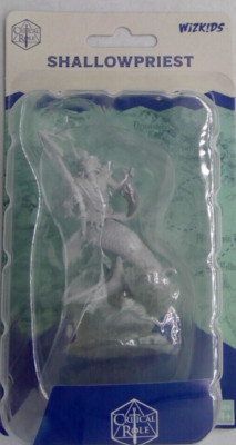 Critical Rôle Miniatures ~ Shallowpriest | eBay
