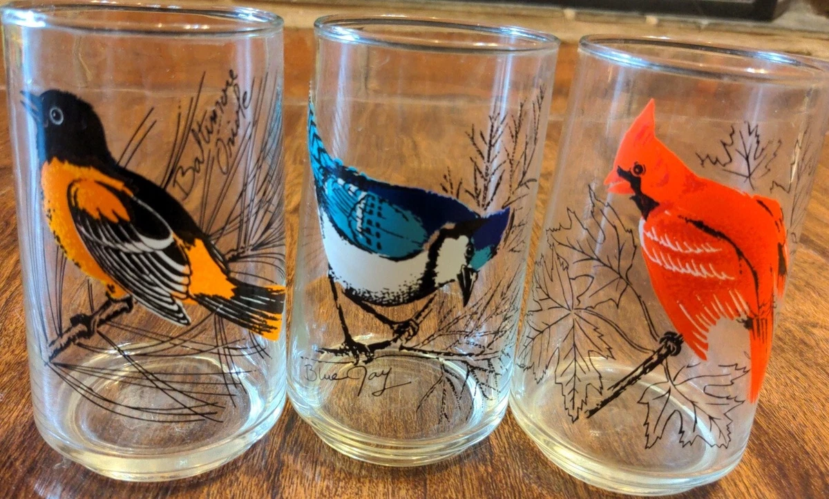 Blue Jay And Cardinal And Oriole