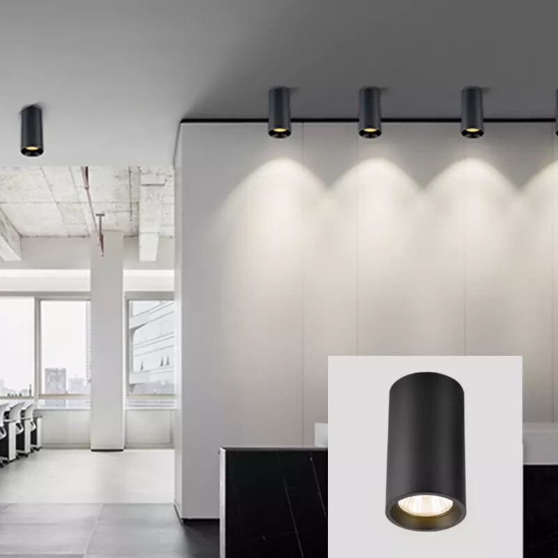 Surface Mounted Lights