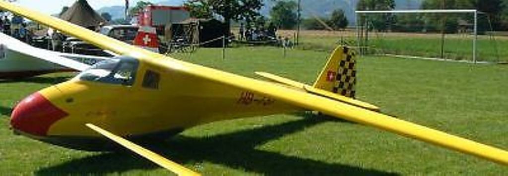 L-Spatz-55 Scheibe Glider Airplane Desktop Kiln Wood Model Large Free ...