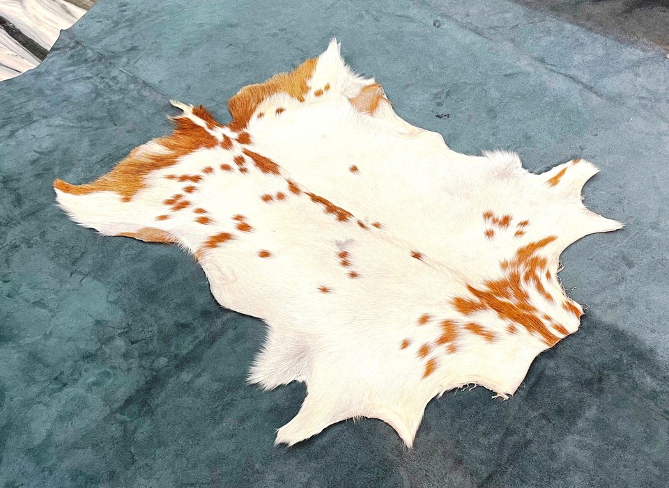 Nordic Leather Goat Hide, Scandinavian Animal Skin, Icelandic Summer ...