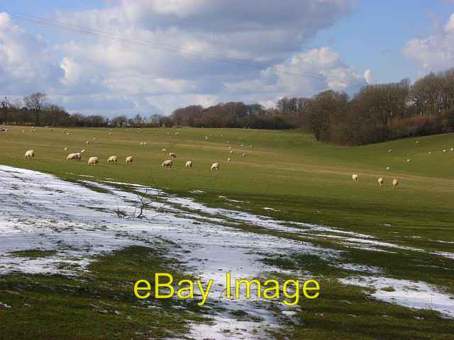 Photo 6x4 Downland, Combe Combe/SU3760 The top of the valley that ...