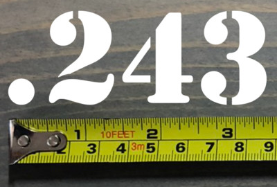 .243 243 Sticker Decal 3.5" Ammo Can Box Label Ammunition Case DIE CUT ...