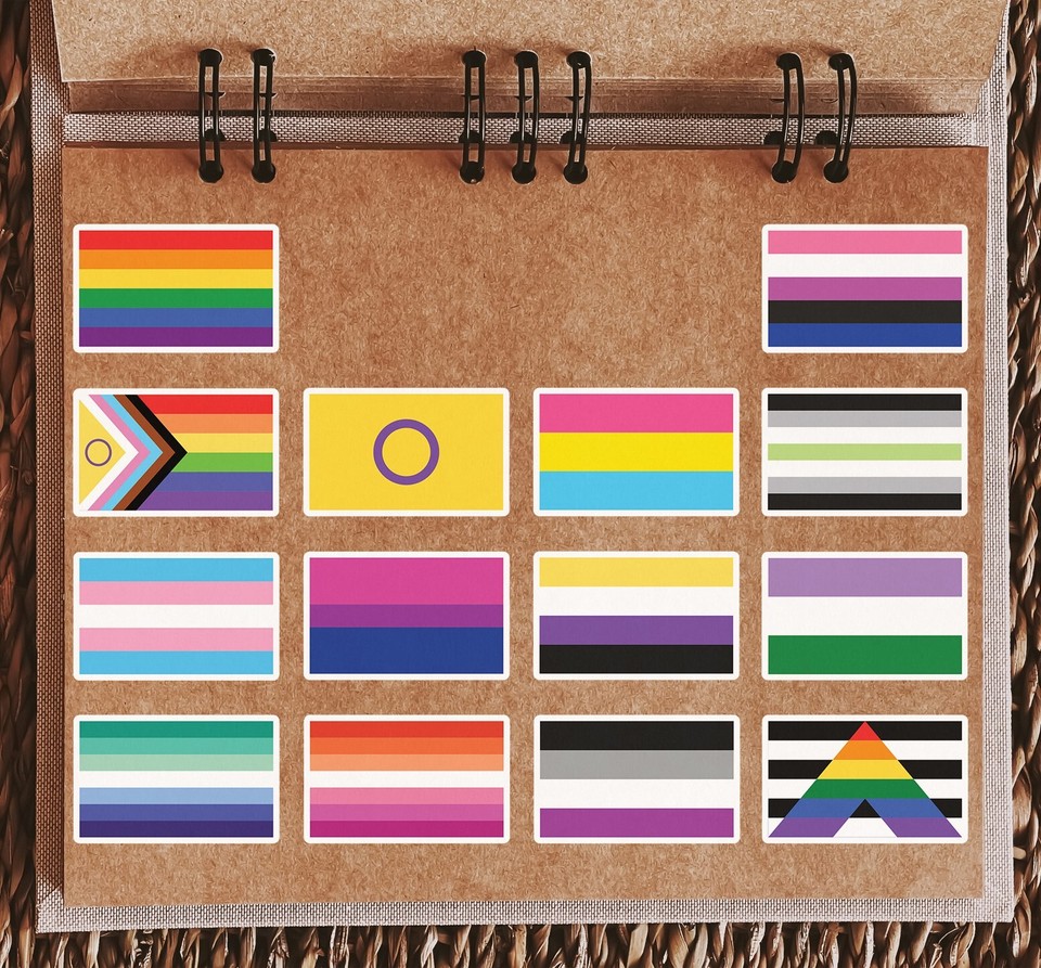 A4 Sticker Sheet Sexual Identity Vinyl Stickers - Flags Pride LGBTQ Gay ...