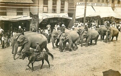 Real Photo Postcard Elephants on Parade in Geneseo, Illinois - Dry ...