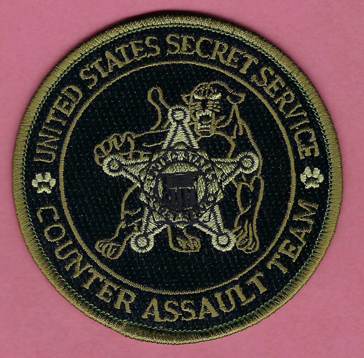 U.S. SECRET SERVICE COUNTER ASSAULT TEAM (CAT) PATCH GREEN | eBay
