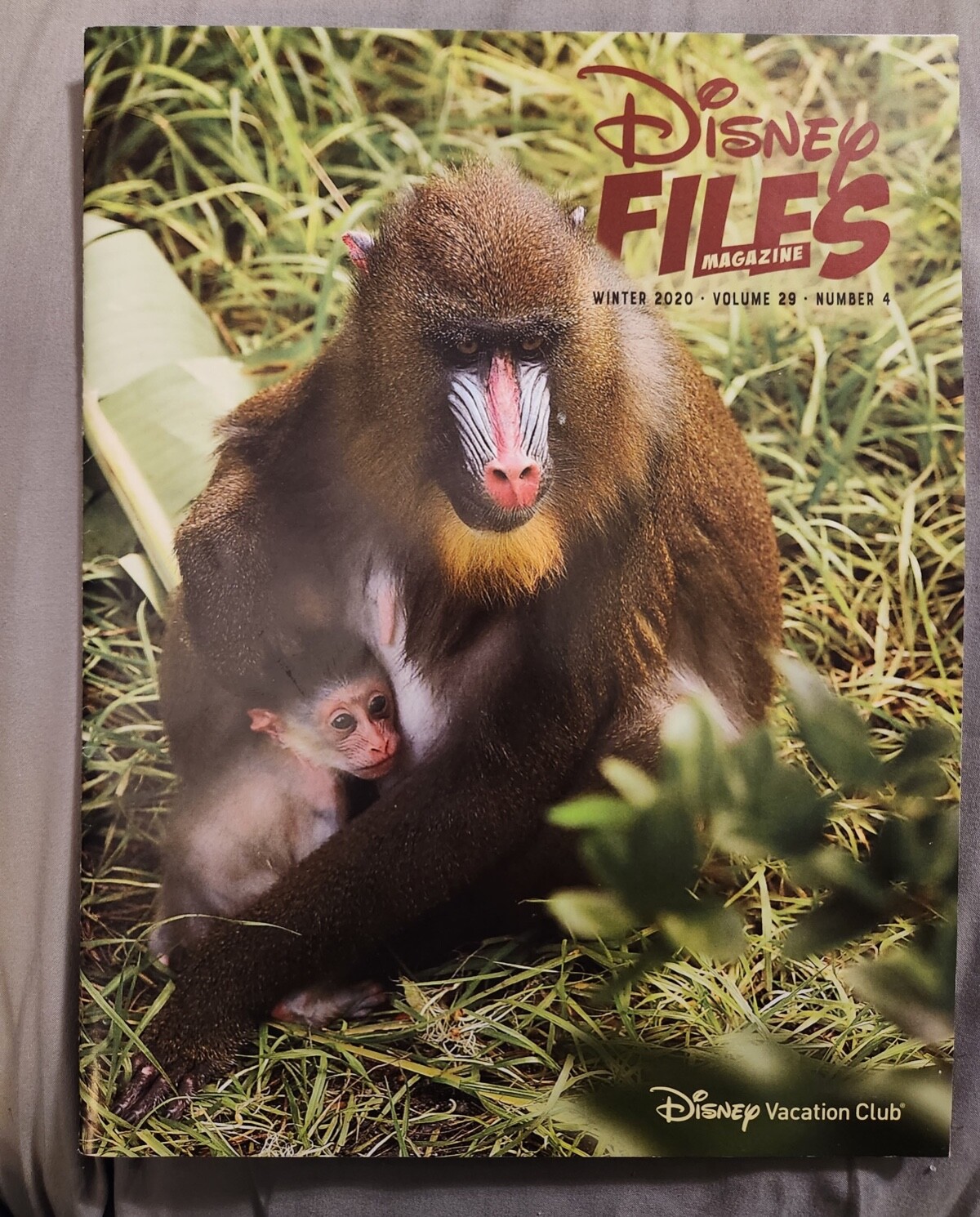 Disney Files Magazine - Animal Kingdom - Vol 29:4 - Winter 2020 | eBay