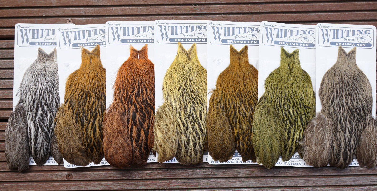 Whiting BRAHMA HEN Cape Silver Badger dyed 12 Farben Auswahl 5 neue ...