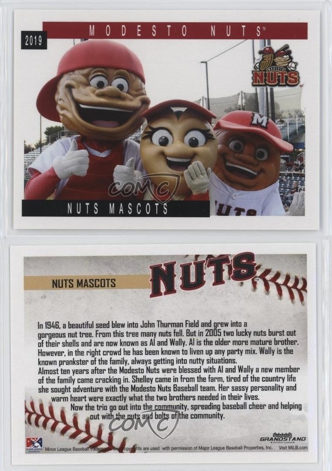2019 Modesto Nuts Shelley the Pistachio Wally Walnut Al Almond Mascots ...