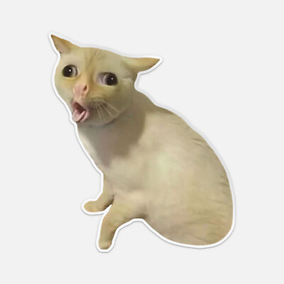 Cat Meme Sticker Vinyl Car Bumper Decal | eBay UK