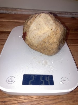 Michigan Puddingstone Huge White Cats eye Quartzite Quartz Jasper Raw ...