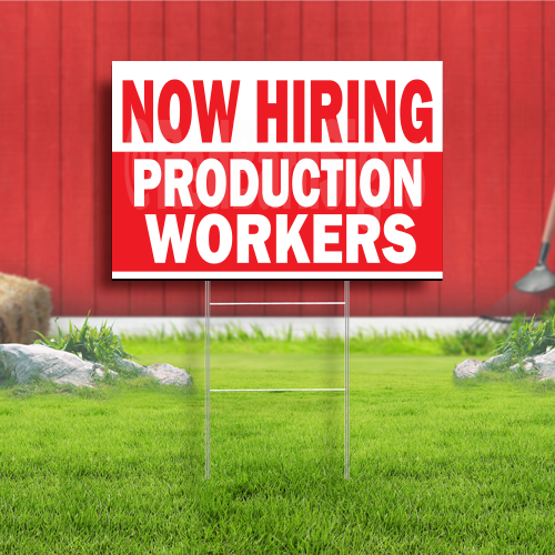 Now Hiring Production Workers Indoor Outdoor Yard Sign | eBay